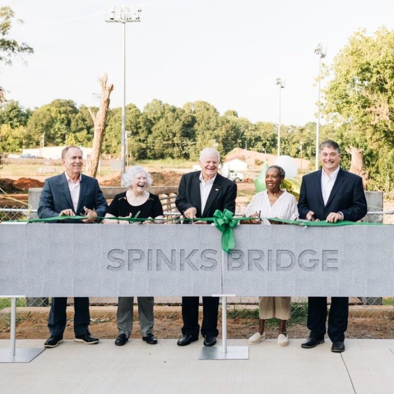 About Spinx | History – Vision – Mission - FAQ